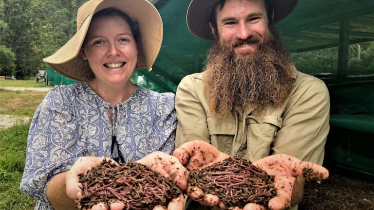 How 'Rural Earthworms' Transformed Worm Farming in Australia