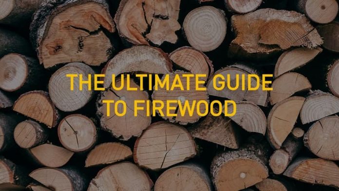 Firewood 101: Everything You Need to Know for a Cozy Home