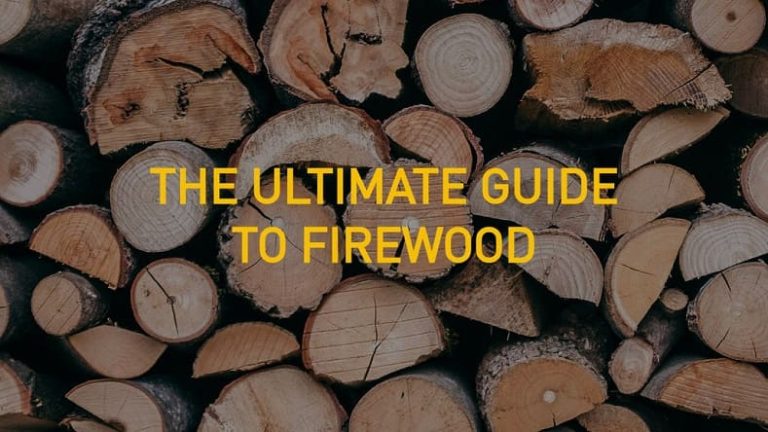 Firewood 101: Everything You Need to Know for a Cozy Home