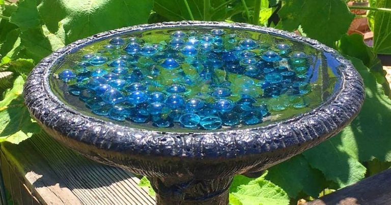 The Ultimate Guide to Creating a Bee-Friendly Water Station
