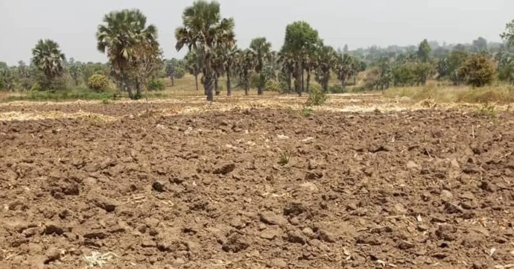 Preparing Land for Planting: Guide for Gardeners and Farmers