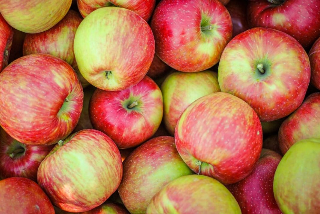 How to Dehydrate Apples: Easy Steps for Perfect Results