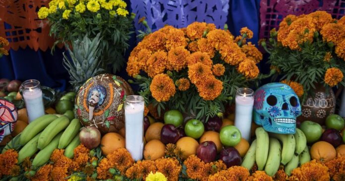 Harvest Savvy: 17 Traditional Day of the Dead Flowers & Their Sacred ...