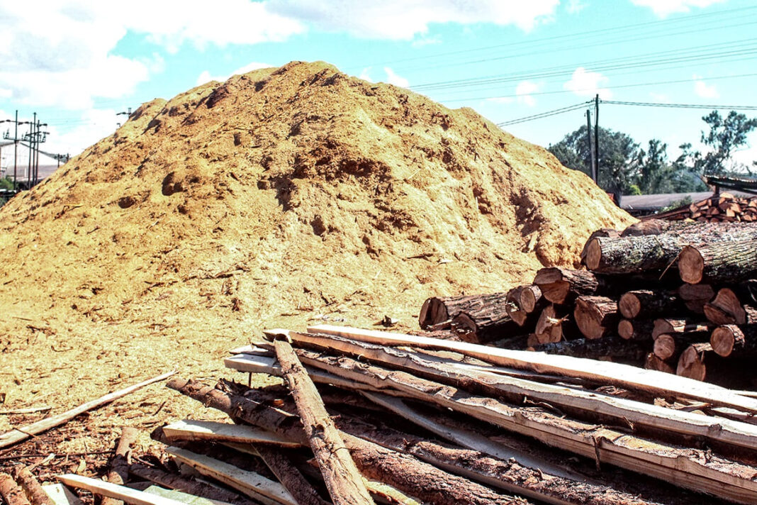 How to Compost Sawdust: Pro Tips, Ratios & Risks Explained