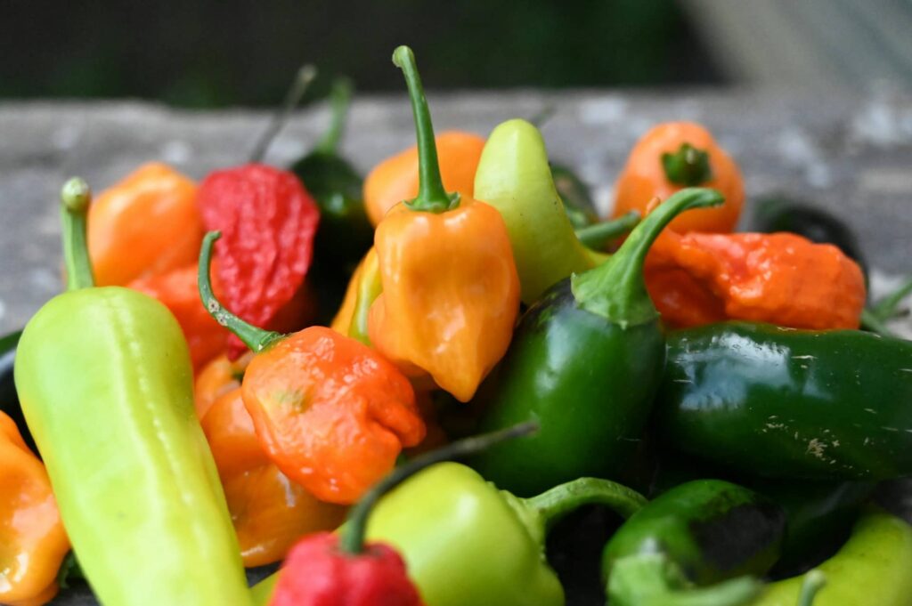 33 Flavorful Pepper Varieties Every Gardener Should Grow