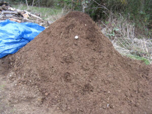 How to Compost Sawdust: Pro Tips, Ratios & Risks Explained