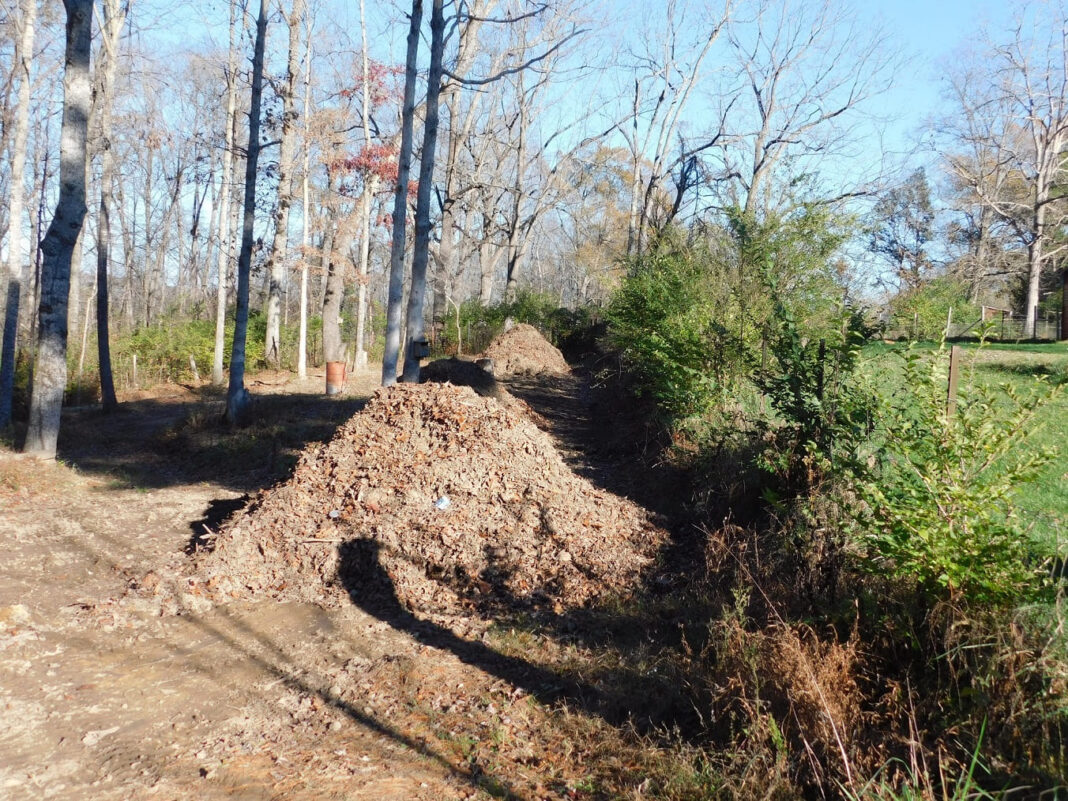 How to Compost Sawdust: Pro Tips, Ratios & Risks Explained