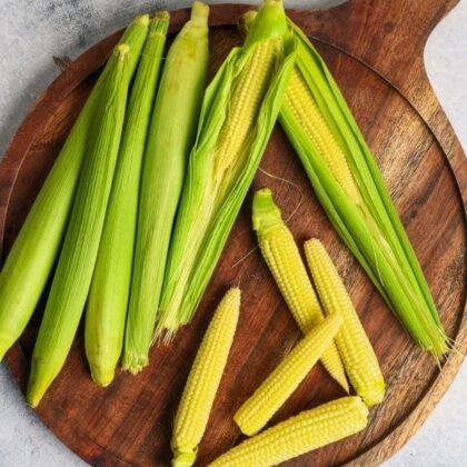 9+ Types of Corn Every Home Gardener & Farmer Should Know