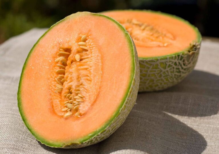 32+ Types of Melons: How to Pick, Store & Enjoy Every Type