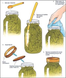 Canning Vegetables at Home: Step-by-Step Guide for Beginners