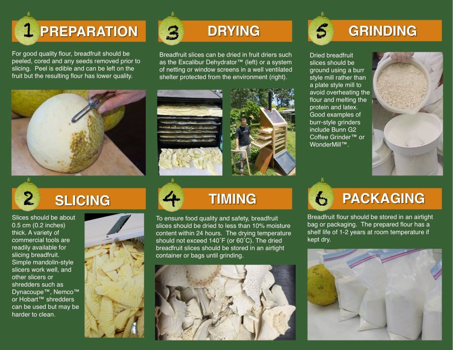 What Is Breadfruit? Nutrition, Recipes And Growing Guide