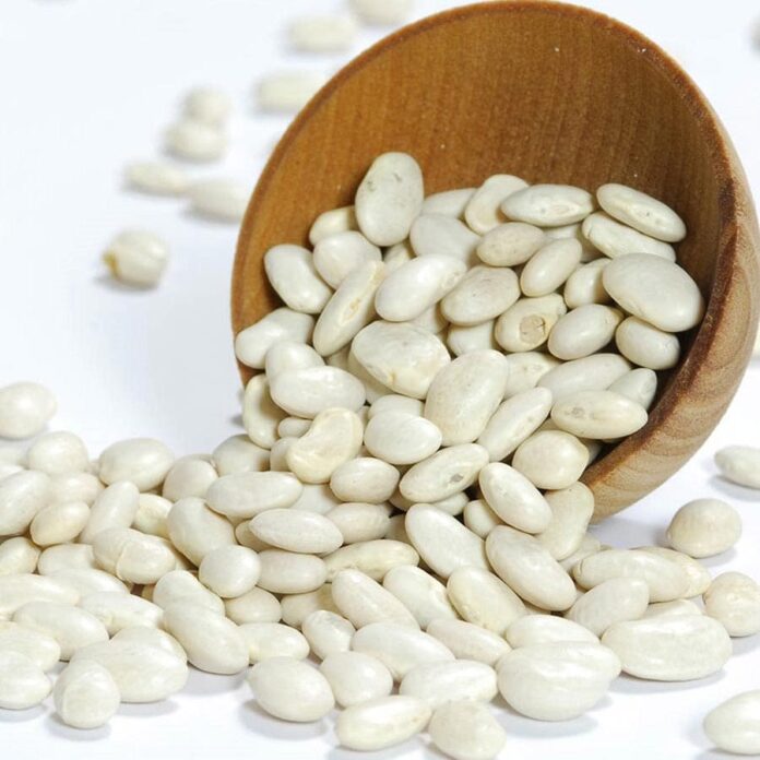 29 Types of Beans Every Home Cook Should Know In 2026