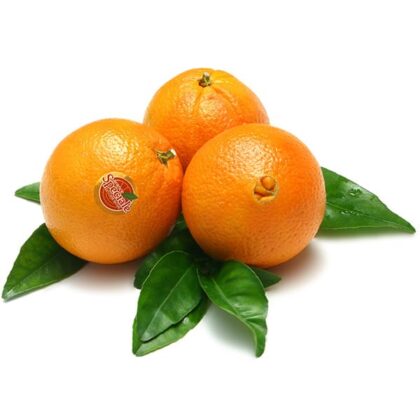 51 Types of Oranges: How to Choose the Right Orange Variety