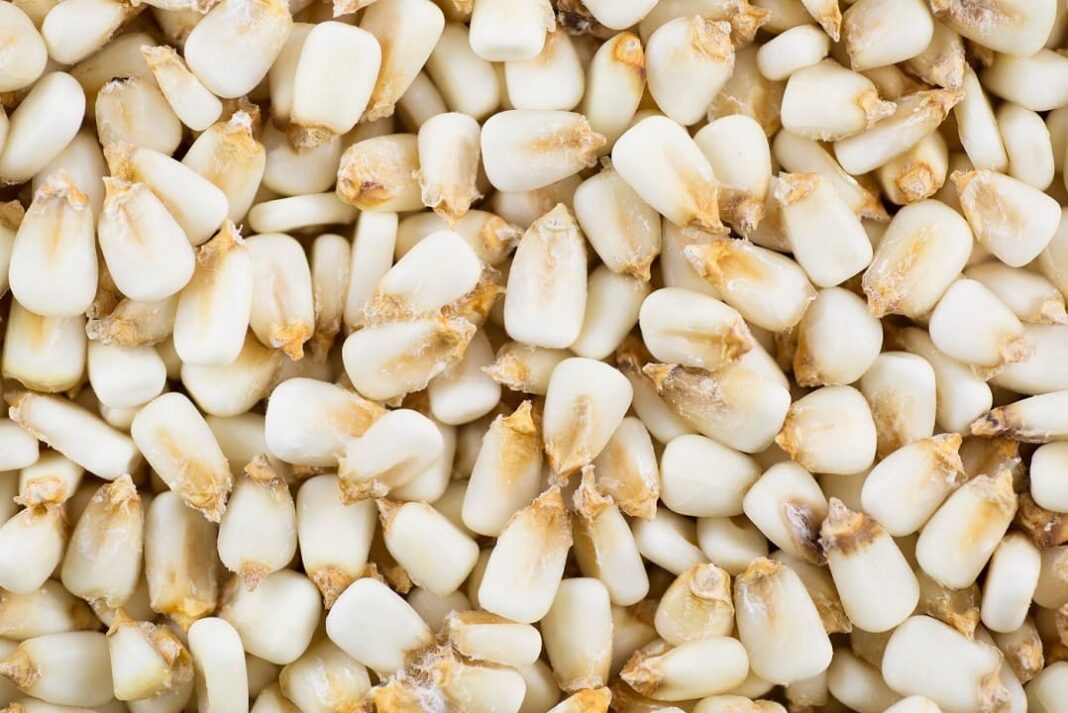 What Is Hominy? Nutrition, Cooking Tips & Easy Recipes