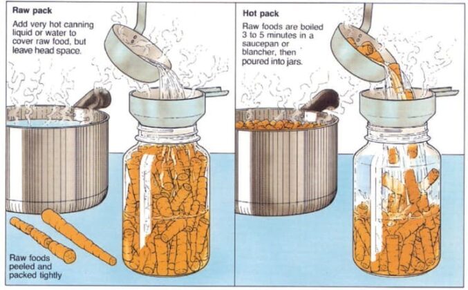 Canning Vegetables at Home: Step-by-Step Guide for Beginners