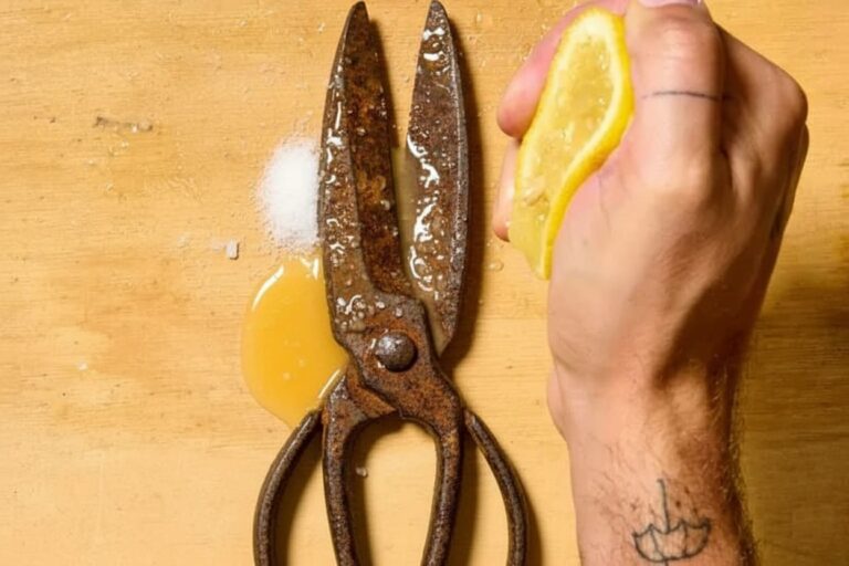 How to Remove Rust from Garden Tools: 6 Easy Home Methods