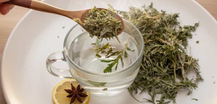 How to Grow Mugwort: Planting, Care & Containment Tips