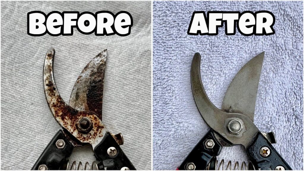 How to Remove Rust from Garden Tools: 6 Easy Home Methods