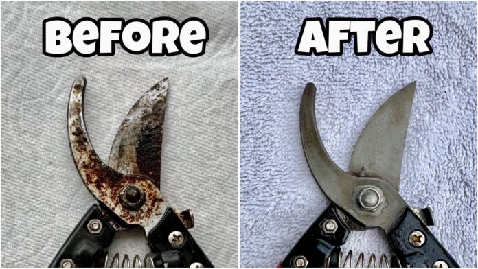 How to Remove Rust from Garden Tools: 6 Easy Home Methods