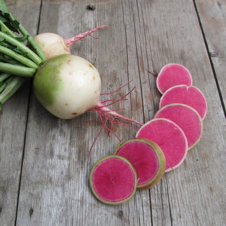 How to Grow Winter Radishes: Varieties, Tips & Recipes