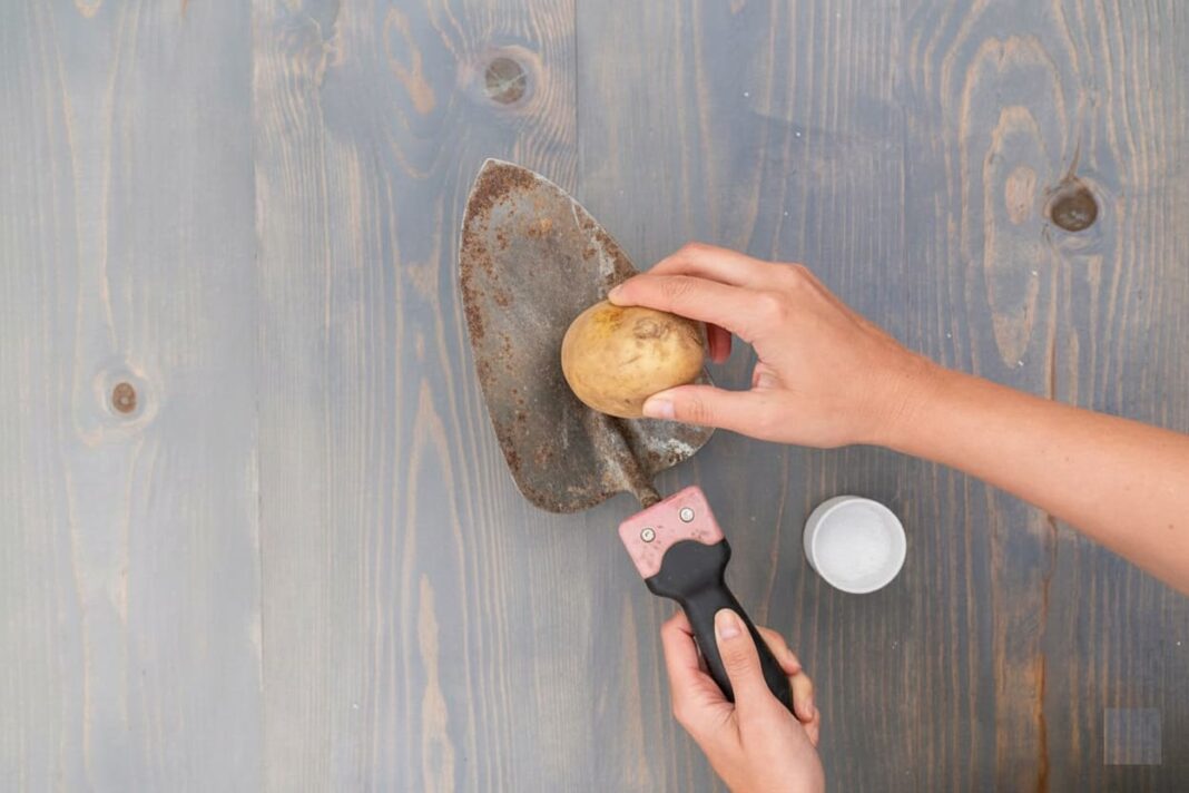 How to Remove Rust from Garden Tools: 6 Easy Home Methods