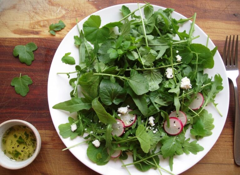 How to Identify and Eat Mallow: Complete Foraging Guide