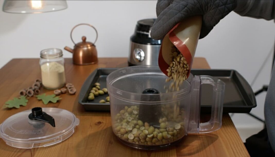 Can You Eat Acorns? Processing, Recipes & Safety Guide 2026