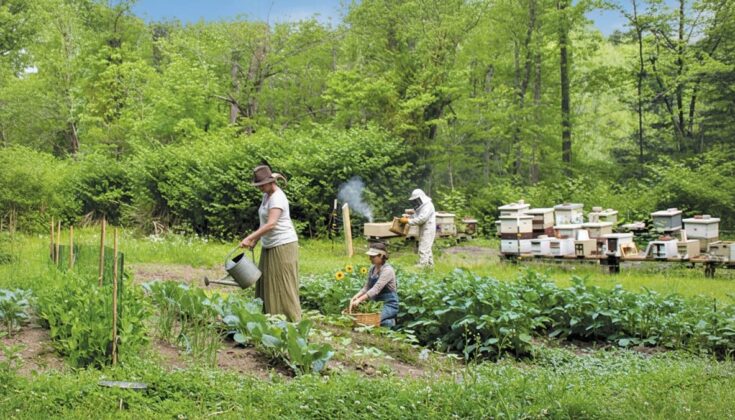 How to Live Off the Grid: Ultimate Self-Sufficiency Guide