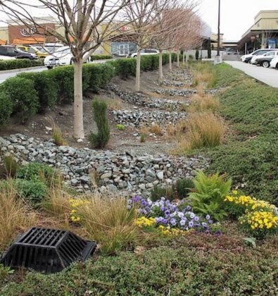 What Is a Swale? Complete Guide to Natural Drainage (2026)
