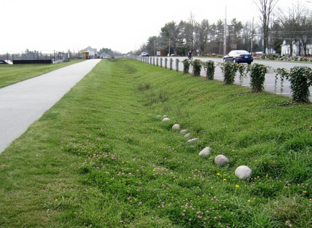 What Is a Swale? Complete Guide to Natural Drainage (2026)
