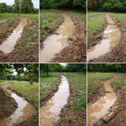 What Is a Swale? Complete Guide to Natural Drainage (2026)