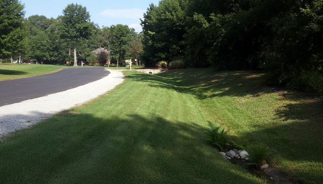 What Is a Swale? Complete Guide to Natural Drainage (2026)