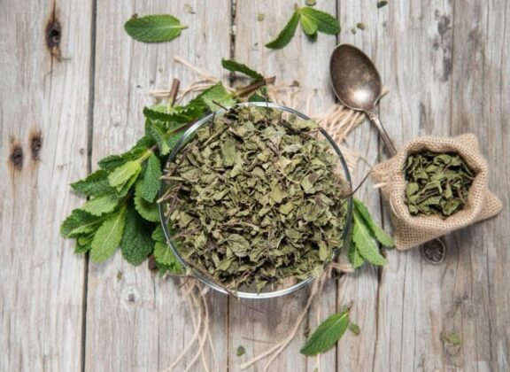 How to Dry Mint at Home (4 Easy Methods for Best Flavor)