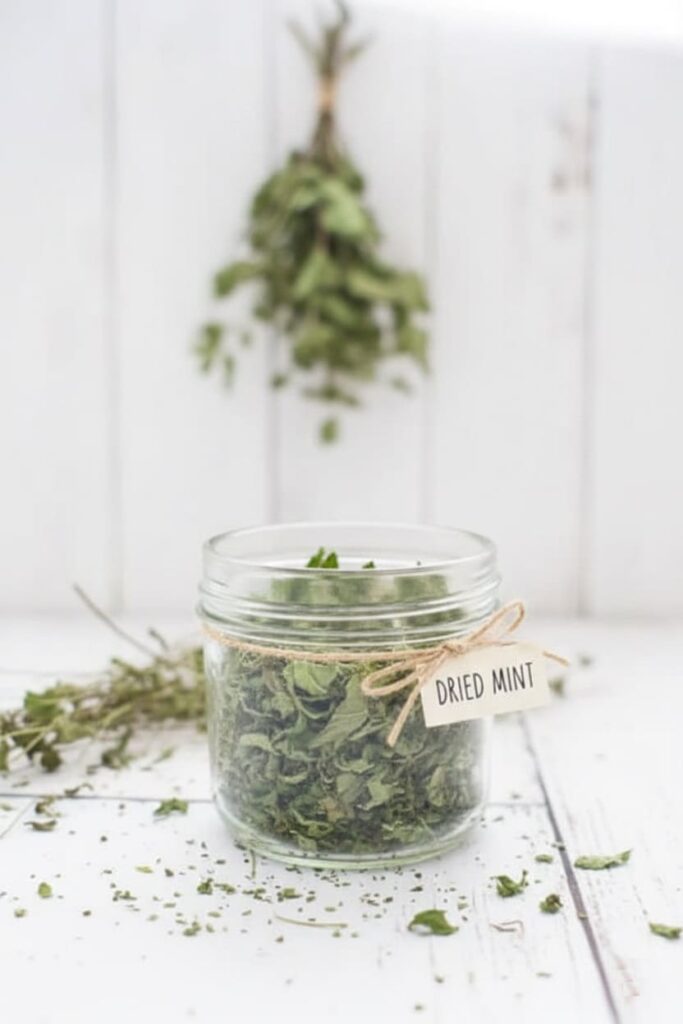 How to Dry Mint at Home (4 Easy Methods for Best Flavor)