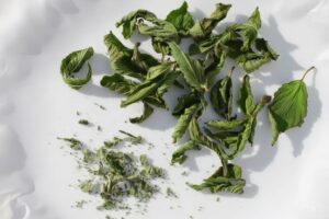 How to Dry Mint at Home (4 Easy Methods for Best Flavor)