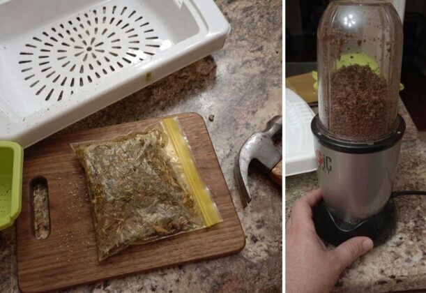 How to Make Bone Meal Fertilizer at Home From Kitchen Scraps